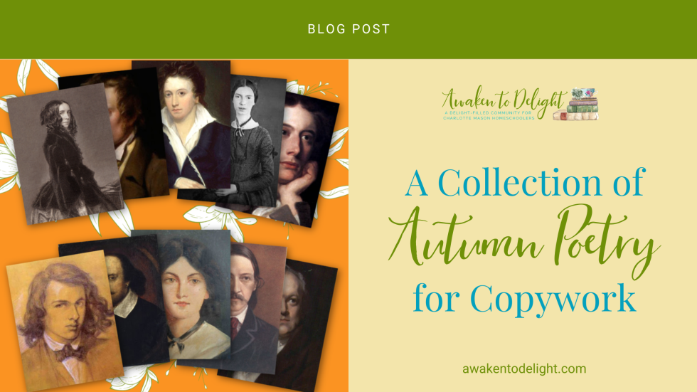 Autumn-Inspired Books Your Family Will Love to Cozy Up With - Awaken to ...