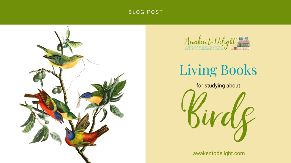 Learn About Beautiful Birds with these Living Books - Awaken to Delight ...