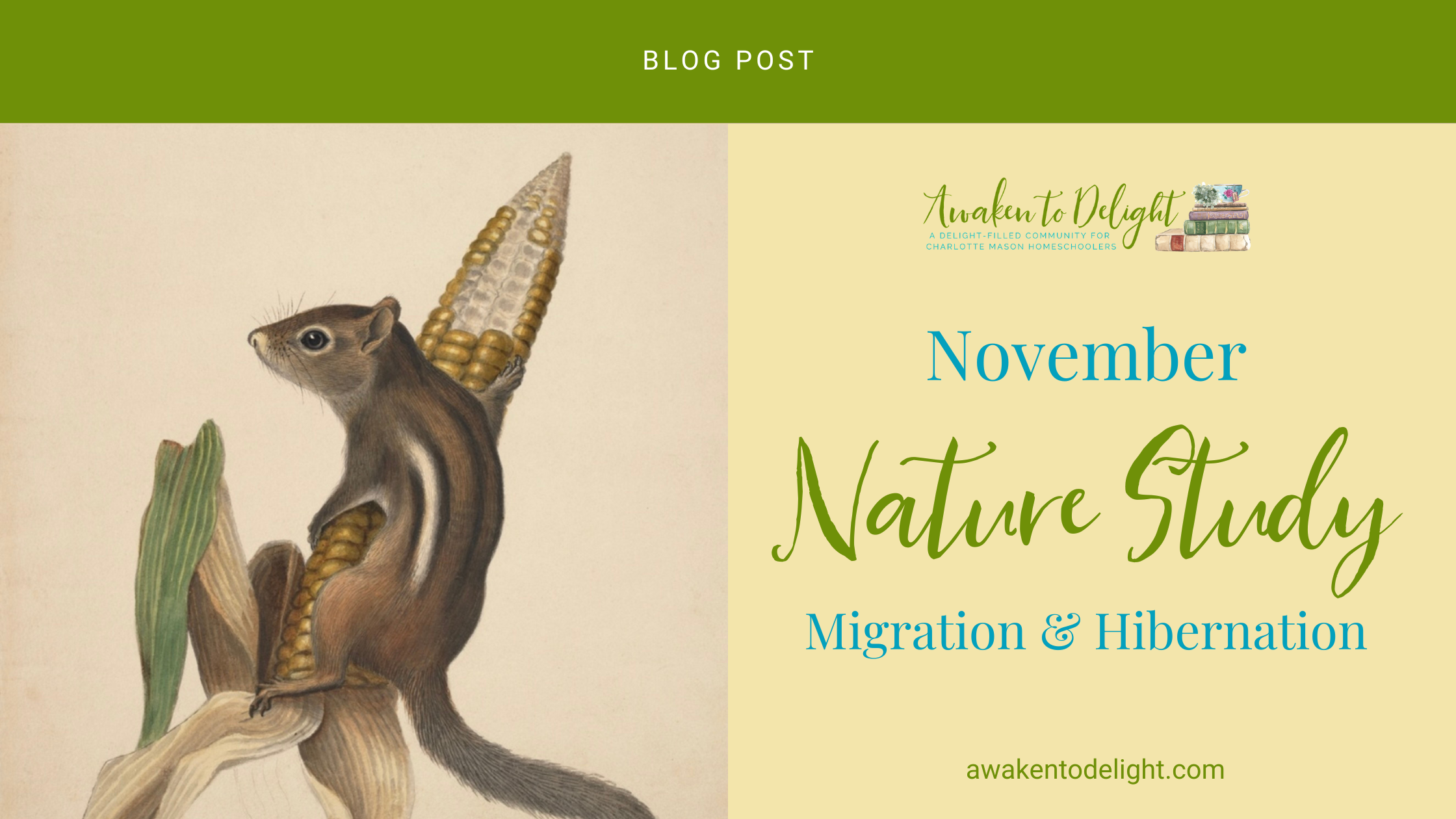Free November Nature Study: Activities & Prompts for Your Homeschool ...