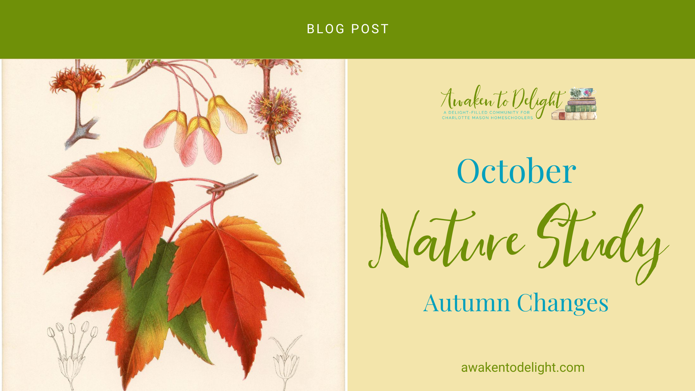 Free October Nature Study: Activities & Prompts for Your Homeschool ...