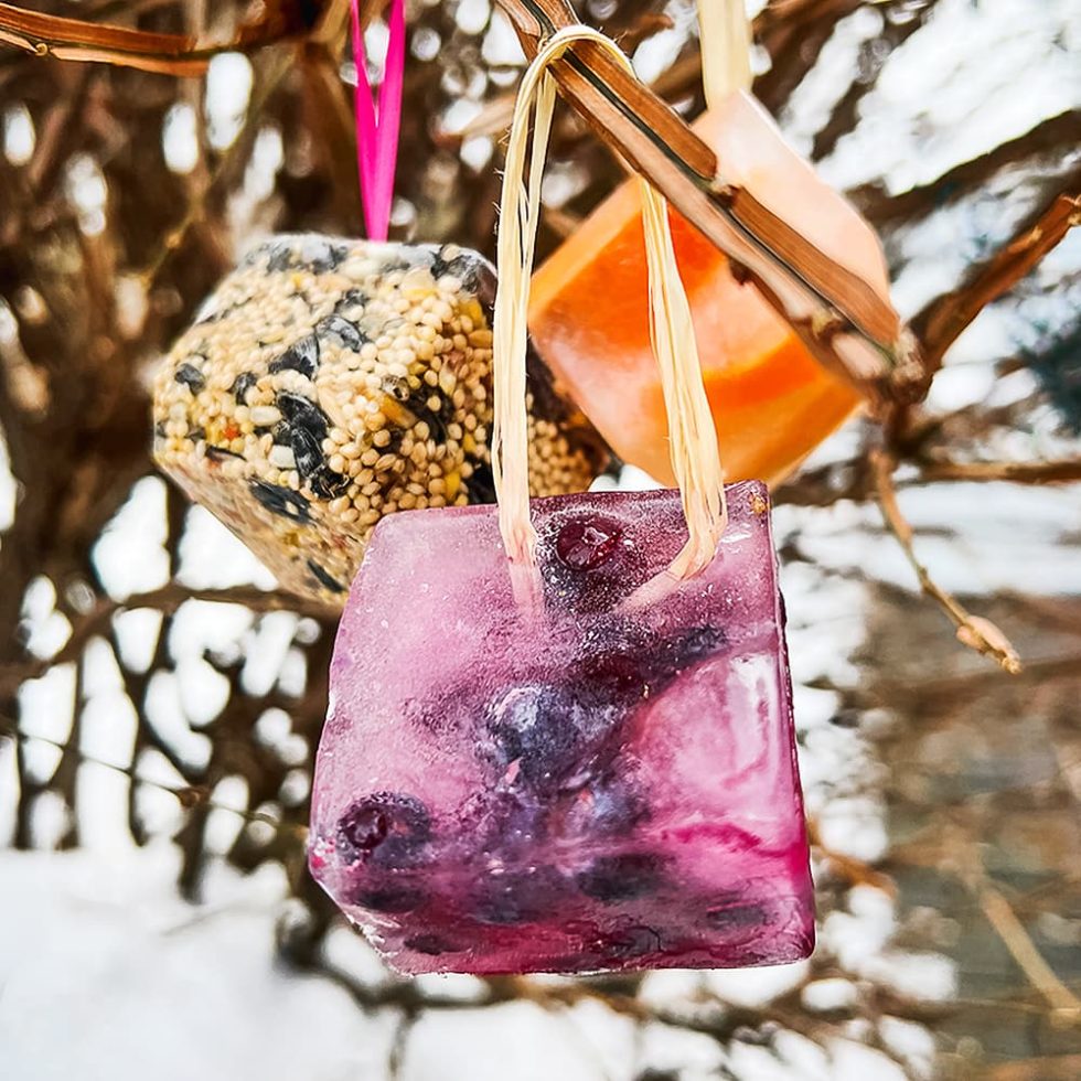 Winter Nature Crafts Your Kids and Teens Will Love! - Awaken to Delight ...