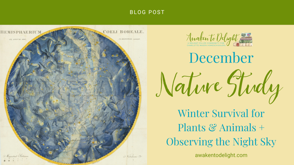 Free December Nature Study: Activities & Prompts for Your Homeschool ...