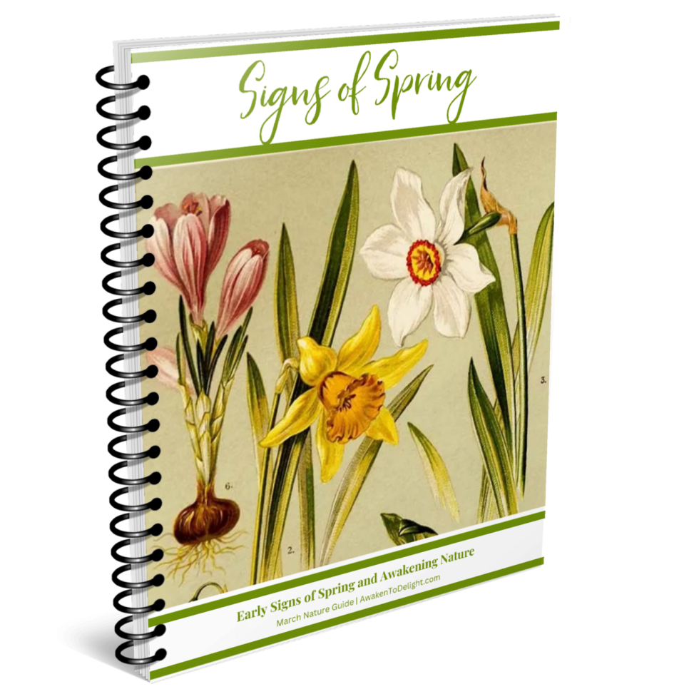 Welcome Spring with This Free March Nature Study Guide! - Awaken to ...