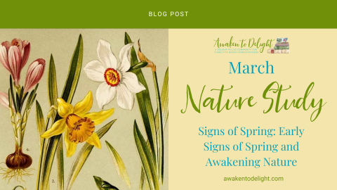 Welcome Spring with This Free March Nature Study Guide! - Awaken to ...
