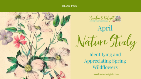 Discover the Beauty of Spring Wildflowers: A Free April Nature Study ...